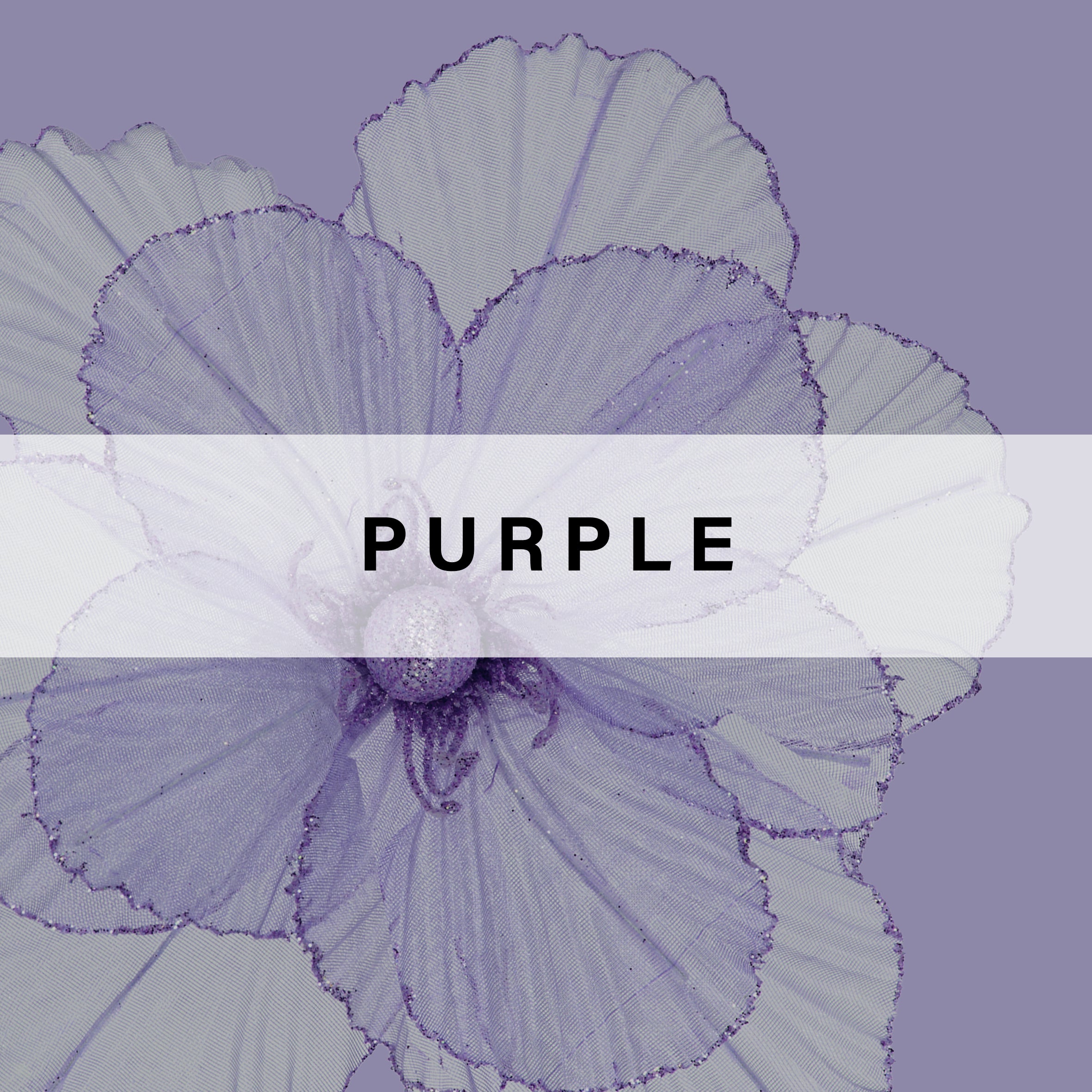 Purple XM2025 – Holly & Ivy