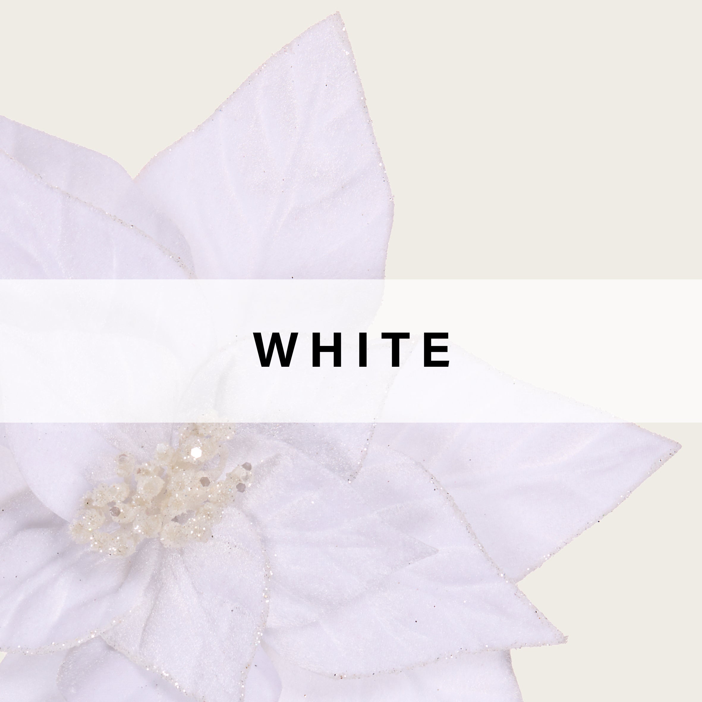 White XM2025 – Holly & Ivy