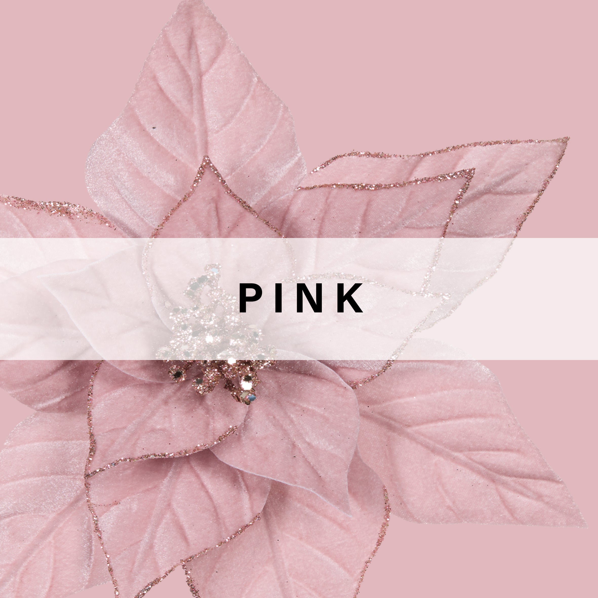 Pink XM2025 – Holly & Ivy