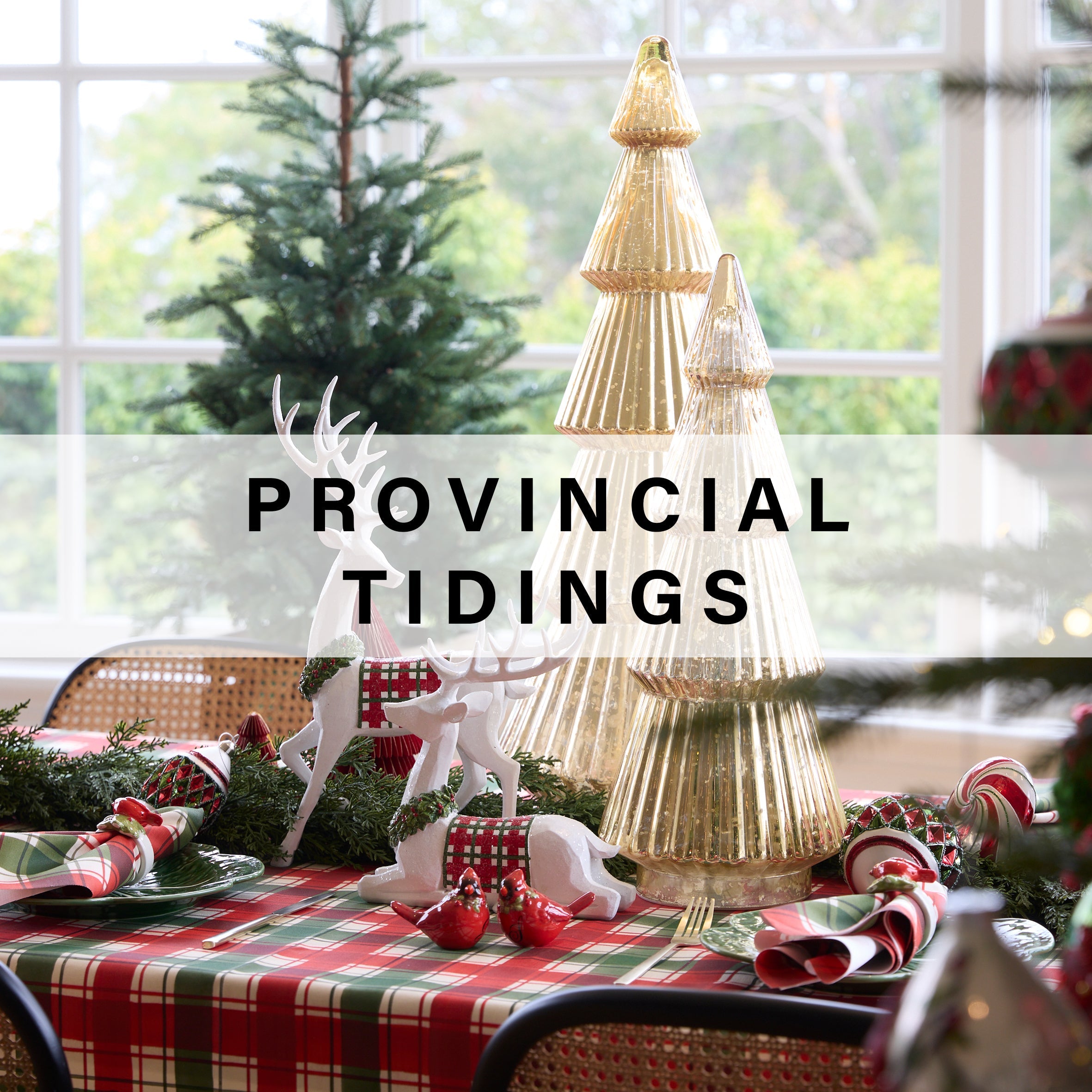 xm2025 collections – Holly & Ivy