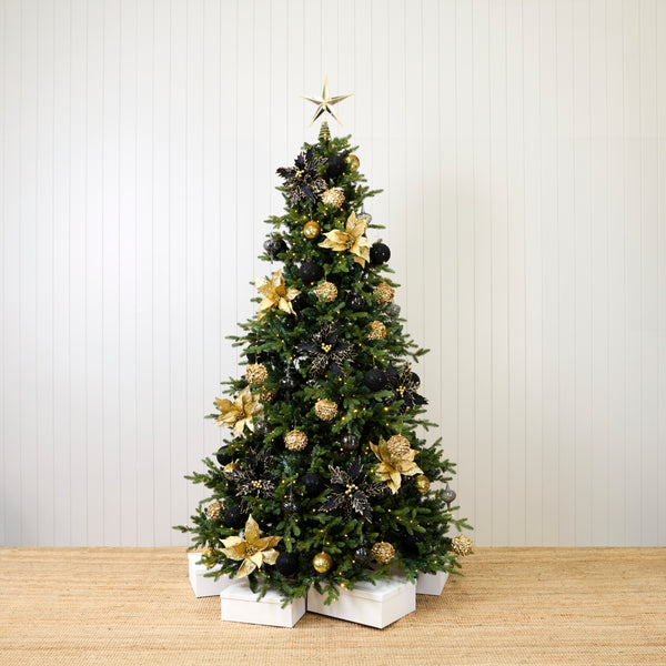 GOLD AND BLACK STARTER PACK – Holly & Ivy