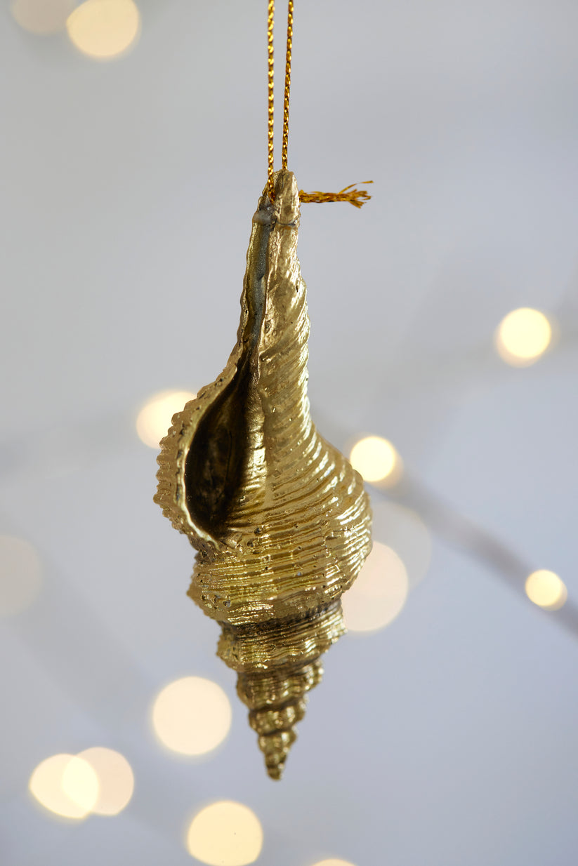 Gold Conch Shell Ornament – Holly & Ivy