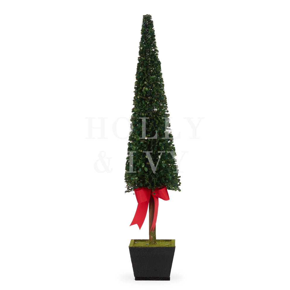 75 Cm Poinsettia Garden Topiary Tree – Holly & Ivy